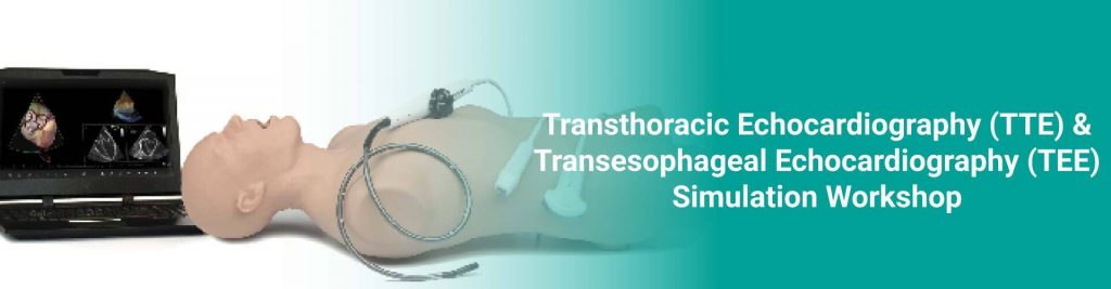 TTE & TEE Echocardiography Workshop | Hands-On at VASA