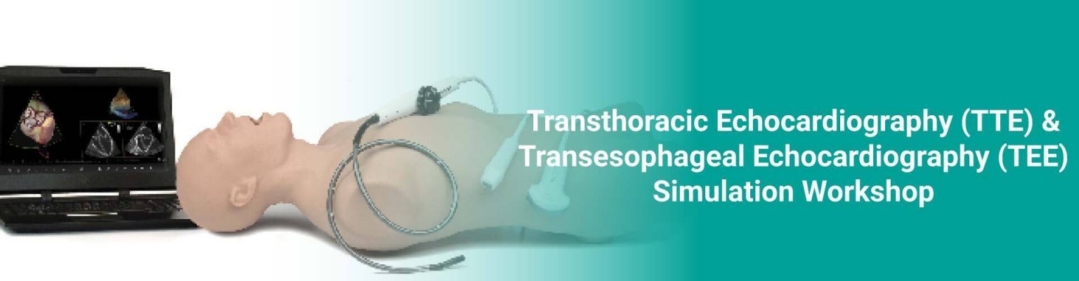 TTE & TEE Echocardiography Workshop | Hands-On at VASA